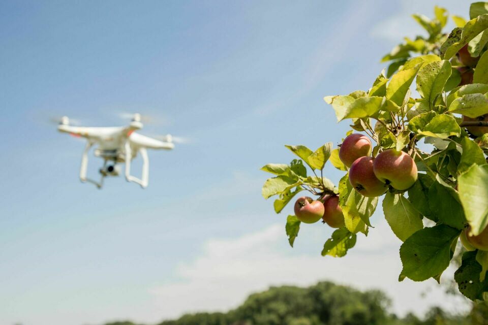 Drones for environmental protection: monitoring of meadow orchards ...