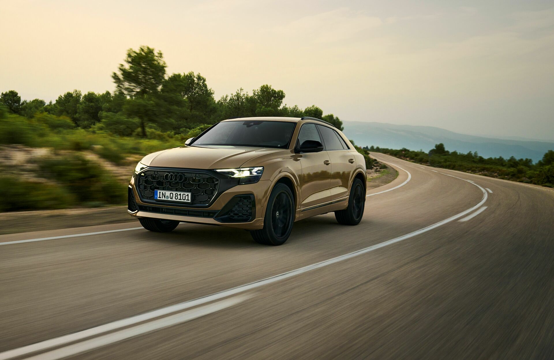 Audi Q8 | Audi MediaCenter