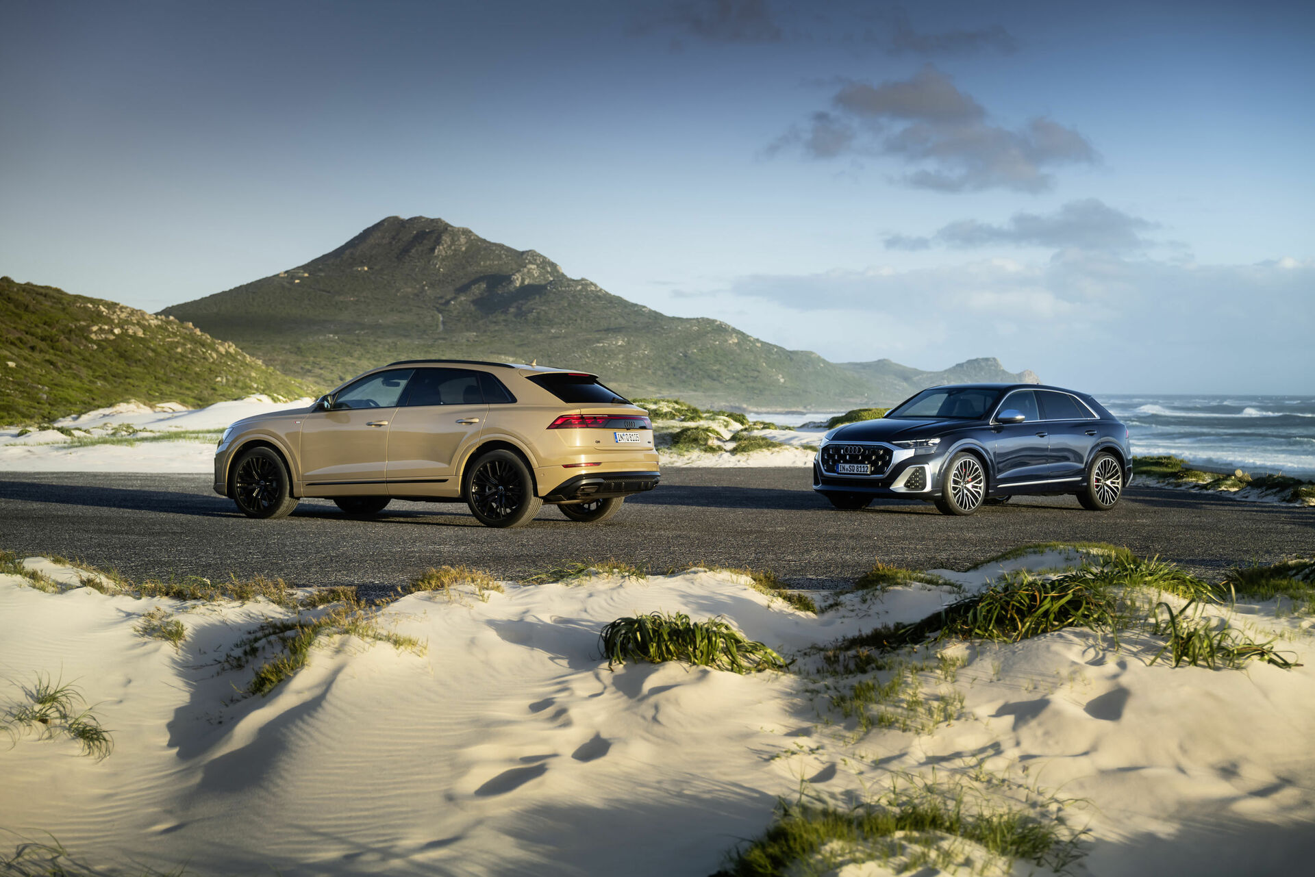Audi Q8 | Audi MediaCenter