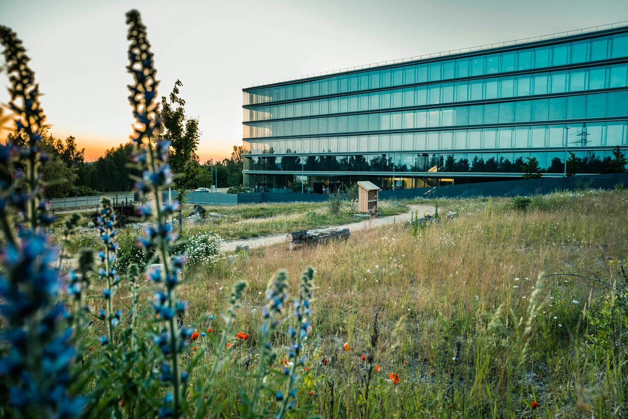 Protecting biodiversity: projects at all Audi locations | Audi MediaCenter
