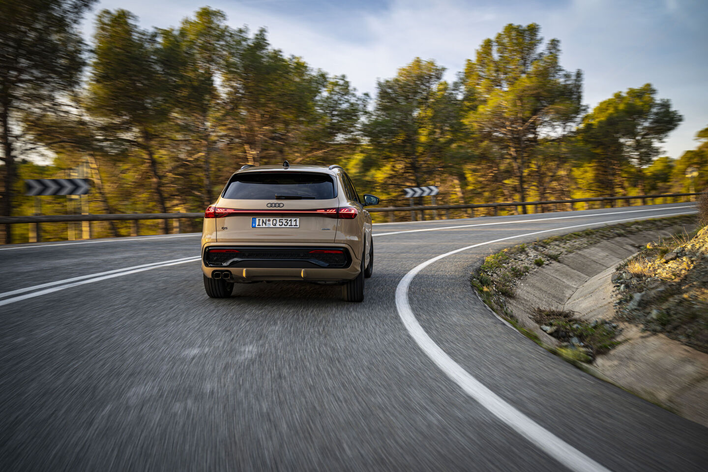 The all-rounder for every day: the Audi Q5 | Audi MediaCenter